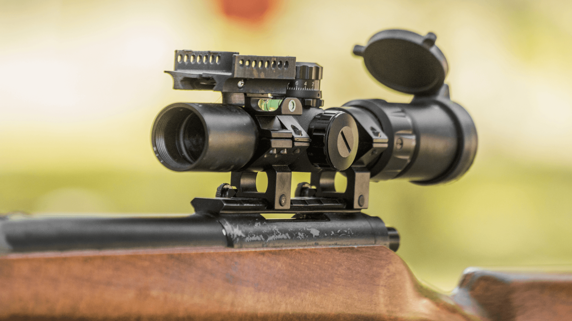 Scope Mounts – SW Top Gun